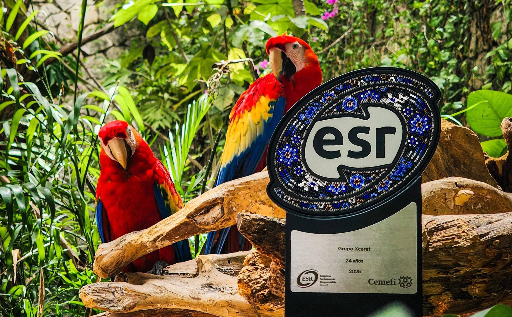 Grupo Xcaret celebra 24 años consecutivos de recibir el distintivo ESR ...